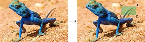 python 2 7 overlaying a box on label image using tkinter stack overflow