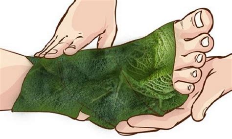 Cele Mai Bune 8 Remedii Pentru Tratarea Picioarelor Umflate – Natura