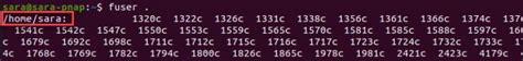 fuser linux command with examples phoenixnap kb