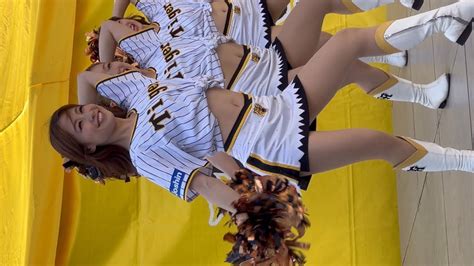 Tigers Girls 阪神タイガースガール オープニングパフォーマンス 美人チアリーダー Youtube