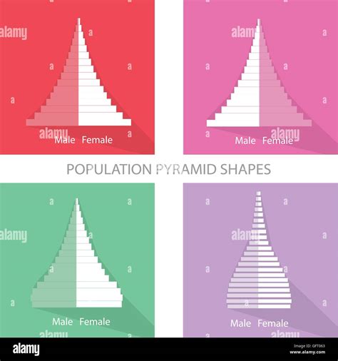 Age Pyramid Types