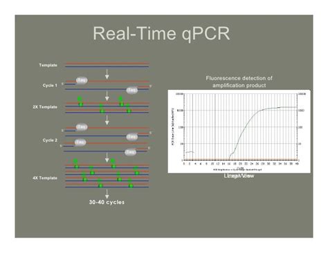 Lec16 Realtime Pcr