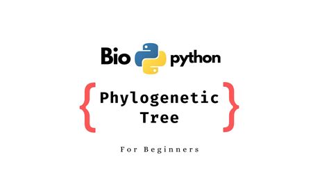 drawing a phylogenetic tree using python biopython tutorial