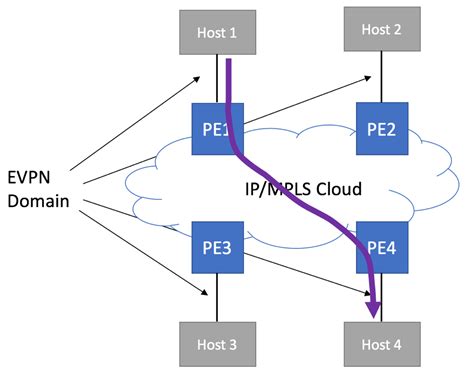 understanding the two terms evpn vs vxlan