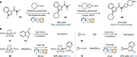 Sequential C N Couplings And Comparisons With Nucleophilic