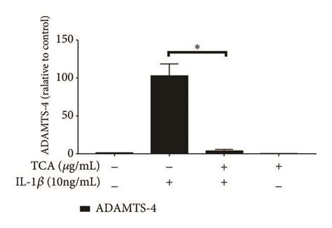 Tca Reduced The Mrna Expression Of Mmp 1 Mmp 3 Mmp 13 Adamts 4 And