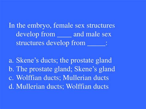 Ppt Sexology 20 20 Powerpoint Presentation Free Download Id 9519352