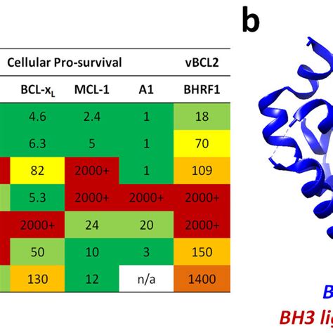 Latent Membrane Protein 1 Lmp1 Mediated Activation Of Natural
