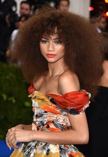Zendaya Is The Ultimate Hair Chameleon
