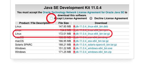 how to install java with apt on debian 10 digitalocean