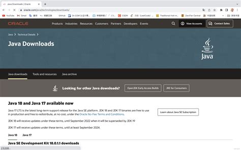 macos 下载jdk11 java jdk11 mac下载 csdn博客