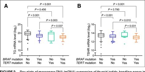Figure 1 From The Genetic Duet Of Braf V600e And Tert Promoter