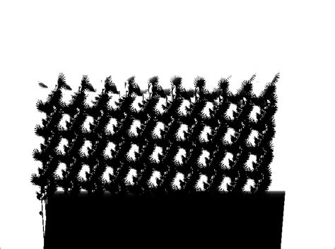 c opengl shadow map issue stack overflow