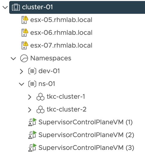 tanzu backup and restore with standalone velero