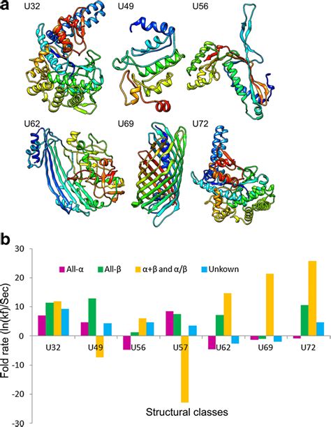 Graphical Representation Of Protein Models A And Protein Folding