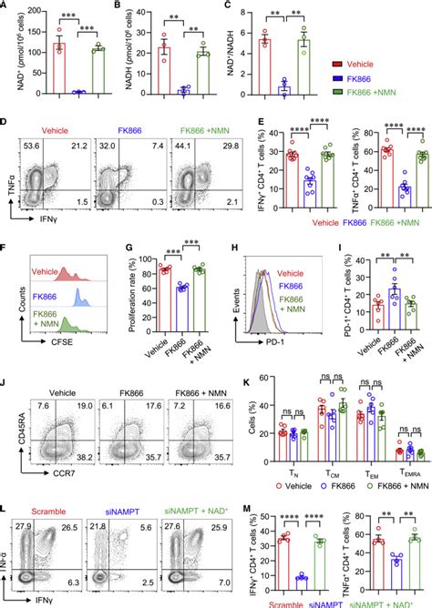 Nampt Is A Metabolic Checkpoint Of Ifnγ Producing Cd4 T Cells In Lupus