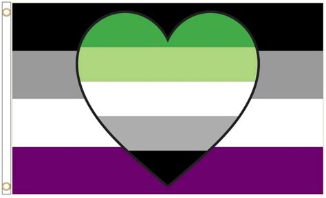 Lgbtq Pride Flag Aromantic Asexual Aro Ace Pride 5x3 Etsy