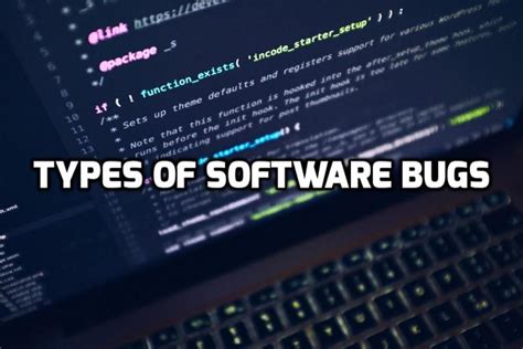 types of software bugs glitchitsystem