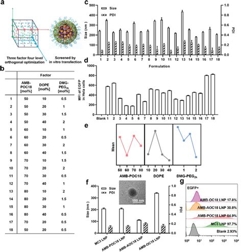 Screening And Characterization Of Lnps A Schematic Of Lnp Screening