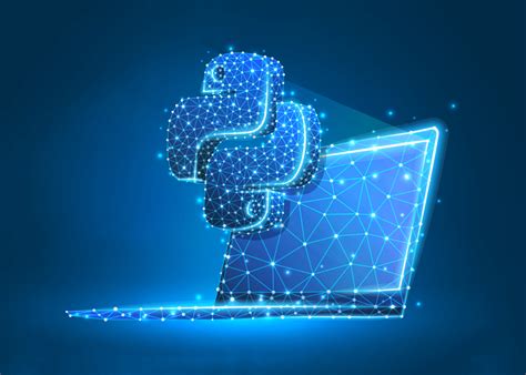 what is python executive summary eme