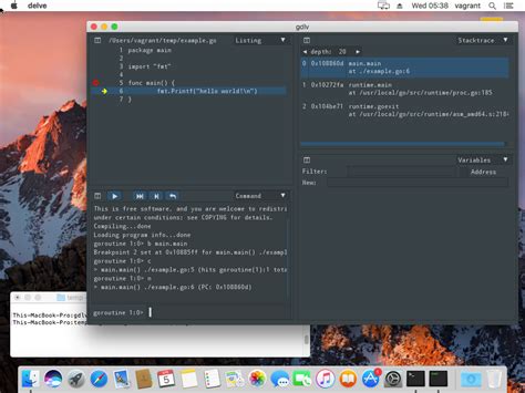 golang delve howto howto techno