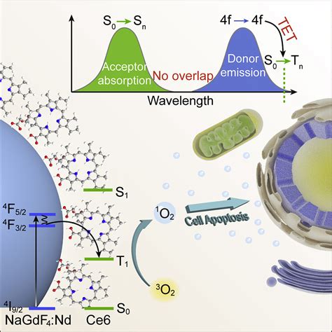 Near Infrared Photosensitization Via Direct Triplet Energy Transfer