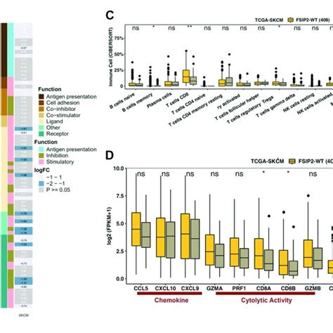 Drug Sensitivity Analysis Of Gdsc Skcm Cell Line Data Skcm Cell