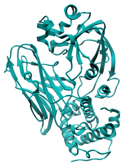 Diphtheria Toxoid Now Available The Native Antigen Company