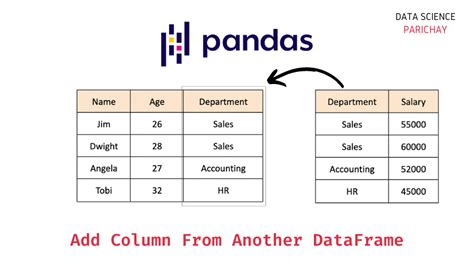 pandas add column from another dataframe data science parichay