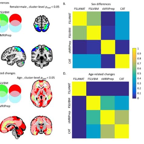 The Voxel Level Intraclass Correlation Coefficient Icc Maps Between