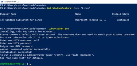 subsystem für linux unter windows 10 ltsc und server 2019