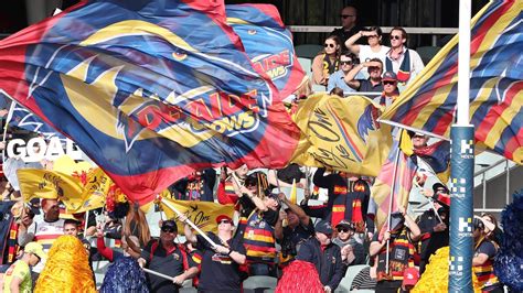Adelaide Crows Vs Gold Coast Suns Tips Odds And Teams Afl 2023 Round