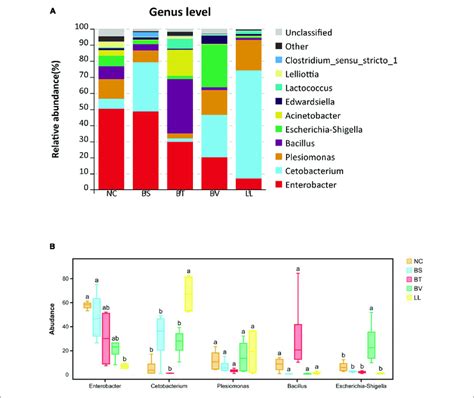 The Relative Abundance Of Major Bacterial Genera In A Barplot And