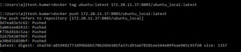 configure nexus repository for docker registry windows data analytics