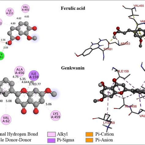 The 2d And 3d Molecular Interaction Poses Of Ferulic Acid And