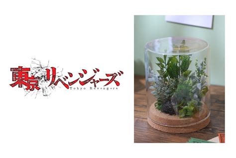 『東リベ』グリーンドームセットが12月発売、9 1～受注開始！ アニメイトタイムズ