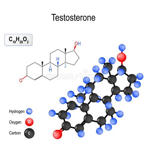 Testosterone Molecular Structure Stock Illustration Illustration Of