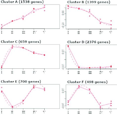 K Means Clustering K 6 Of All Differentially Expressed Genes During