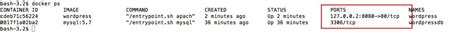 php can not access wordpress configured in docker even