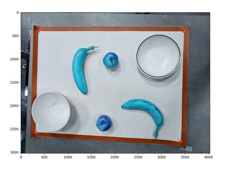 image processing and object detection fruitbot