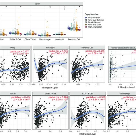 The Relationship Of Immune Cell Infiltration With The Ezh2 Level In