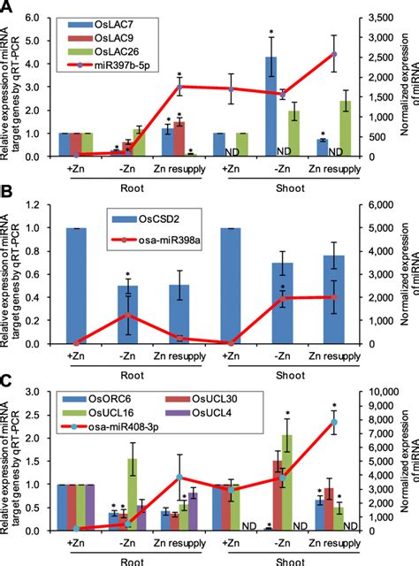The Relative Expression Levels Of Three Zn Responsive Mirnas And Their