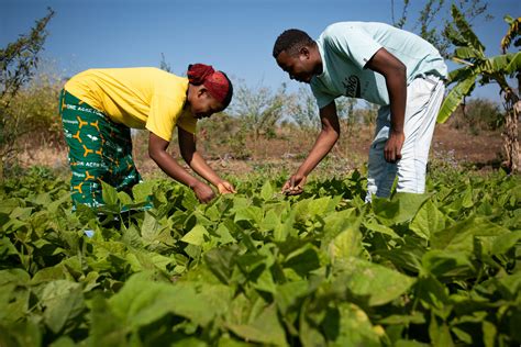 Why Climate Smart Agriculture Is So Important For Smallholder Farmers