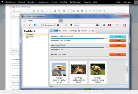 ckeditor for drupal