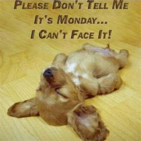 No Not Monday Again Quotes Pinterest