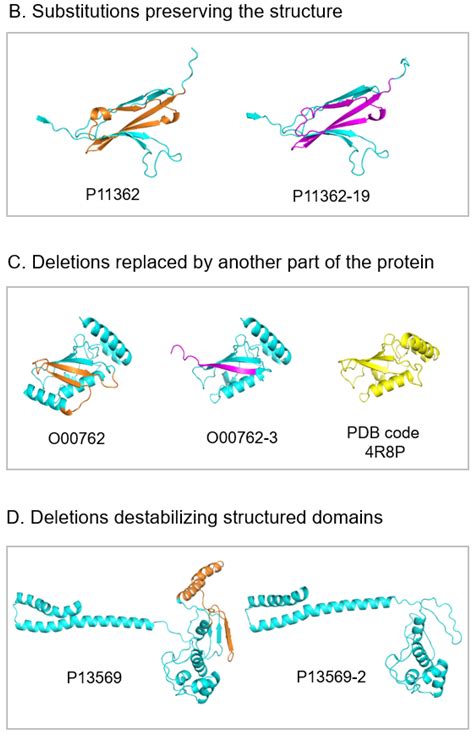 Biomolecules Free Full Text The Difference In Structural States
