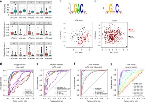 Accurate Detection Of M6a Rna Modifications In Native Rna Sequences