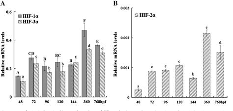 Figure 4 From Molecular Characterization And Expression Analysis Of
