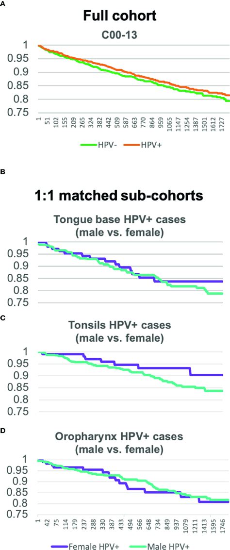 A Kaplan Meier Analysis Comparing The Full Cohort Of Opc Patients