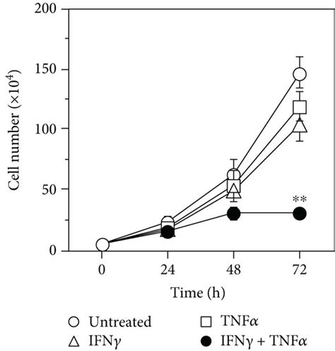 Effects Of Ifnγ And Tnfα On The Growth Of Mc3t3 E1 Mouse Osteoblasts